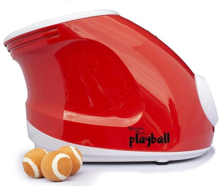 7 Best Automatic Fetch Machine for Dogs [Top 7 Picks]