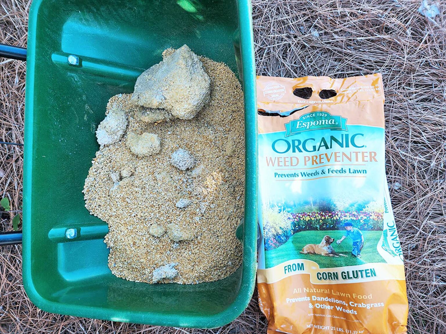 7 Best Dog Safe Weed Killers In 2023 | Dog Friendly Weed