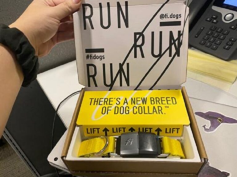 Fi Smart Dog Collar Review 2023 | Best GPS Tracker Collar