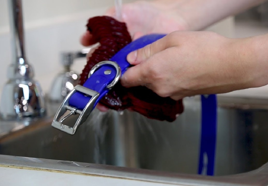 How to Clean Dog Collar: Tips & Tricks to Make it Spotless!!