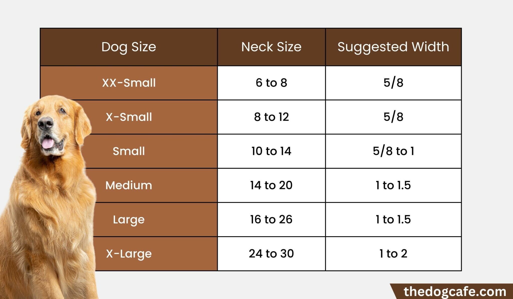 How to Adjust a Dog Collar: Tips for a Happy and Secure Pup