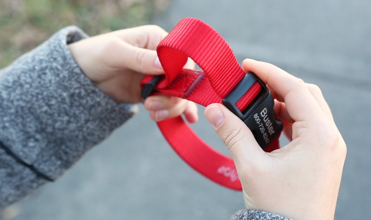 How to Adjust a Dog Collar: Tips for a Happy and Secure Pup