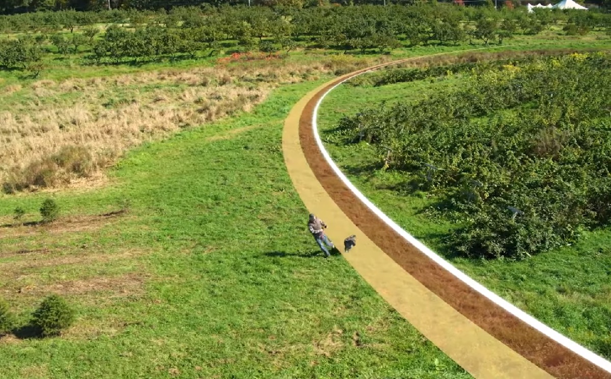 SpotOn Vs. Halo Dog Fence - Which One Is Right for You???