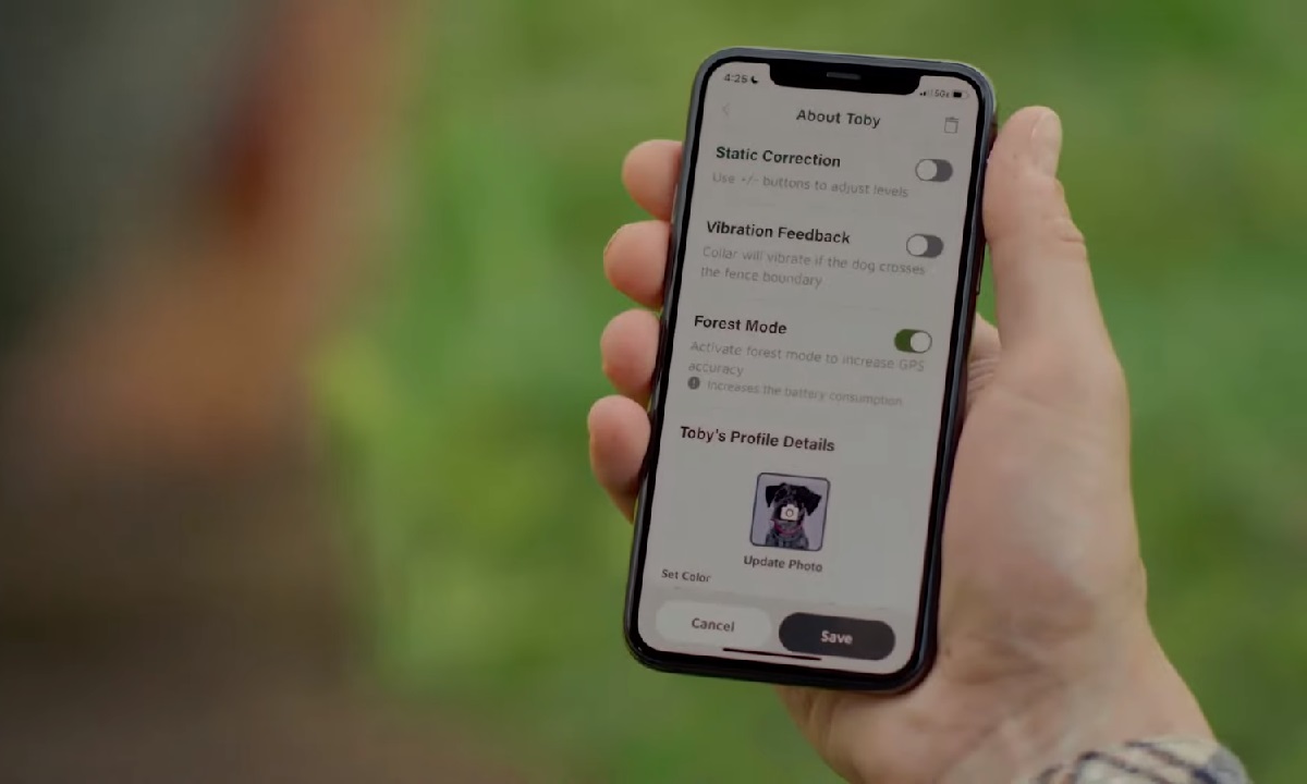 SpotOn Vs. Halo Dog Fence - Which One Is Right for You???